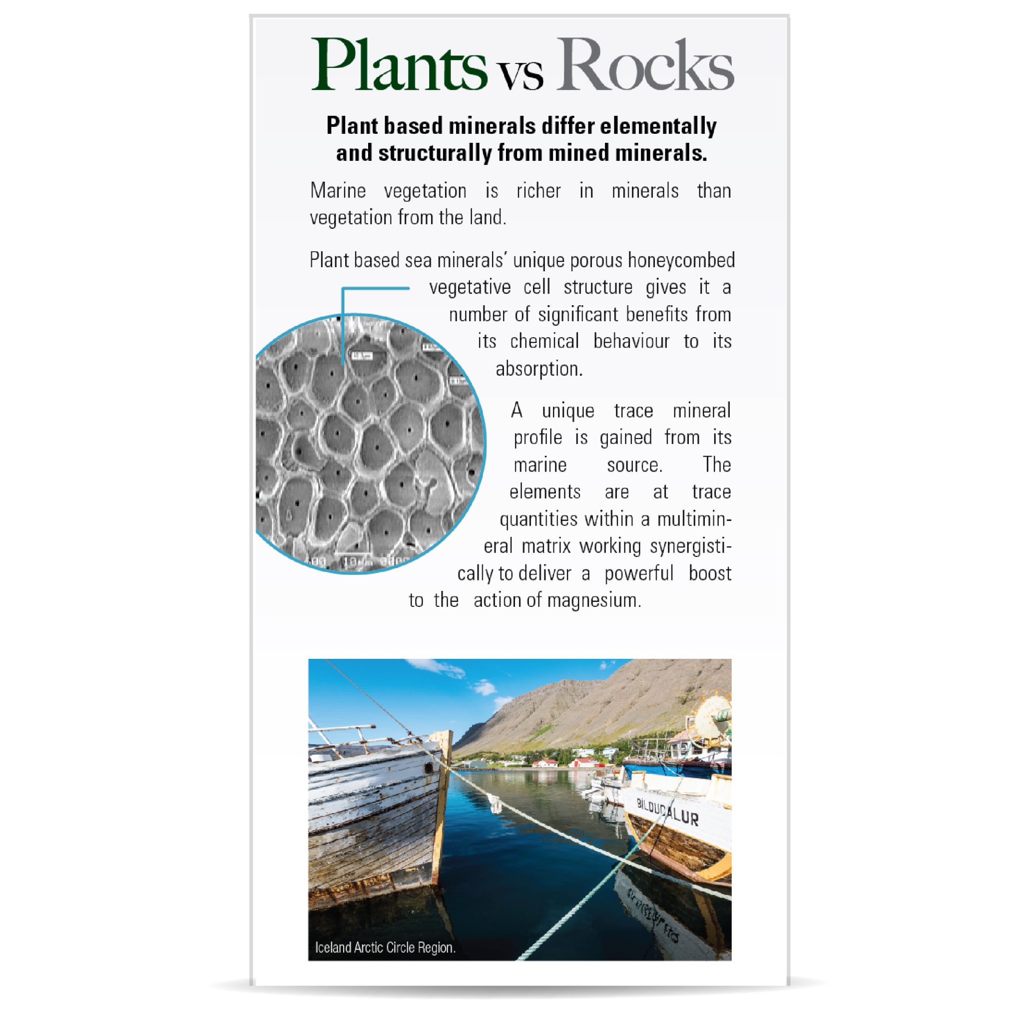 Marine Based Magnesium | Marine Based Magnesium Capsules