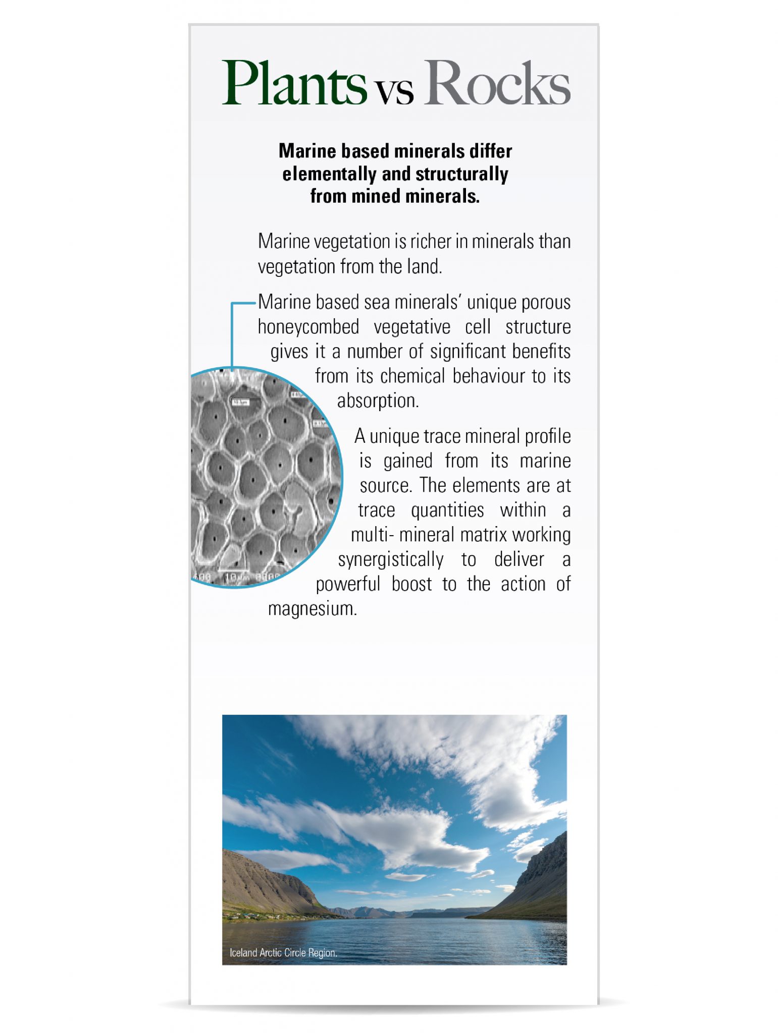 Marine Based Liquid Magnesium 500 mg | Order Marine Liquid Supplements ...