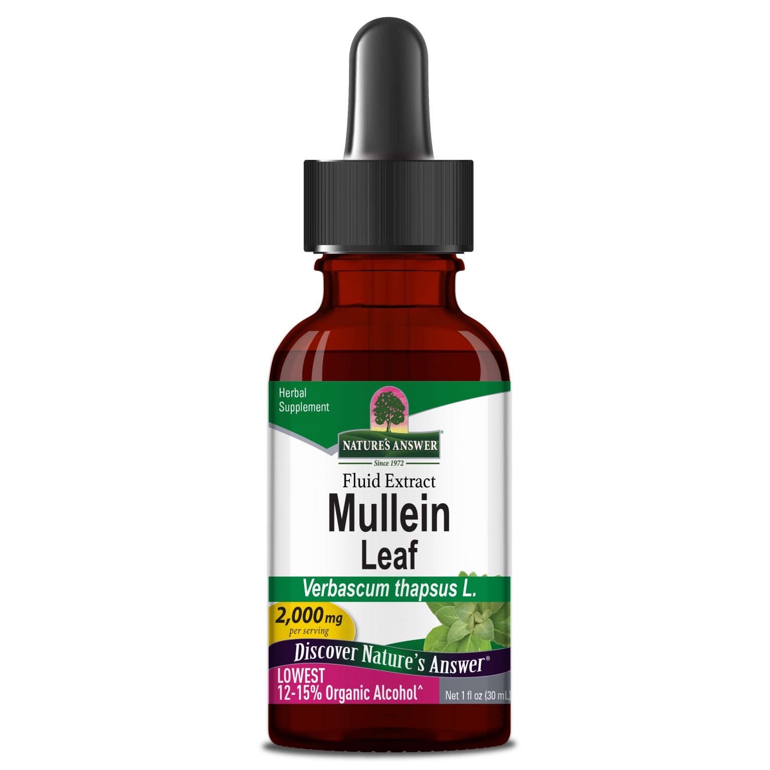 Mullein-X™ Multi System Cough^ Syrup 4oz – Herbal Supplements | Buy ...