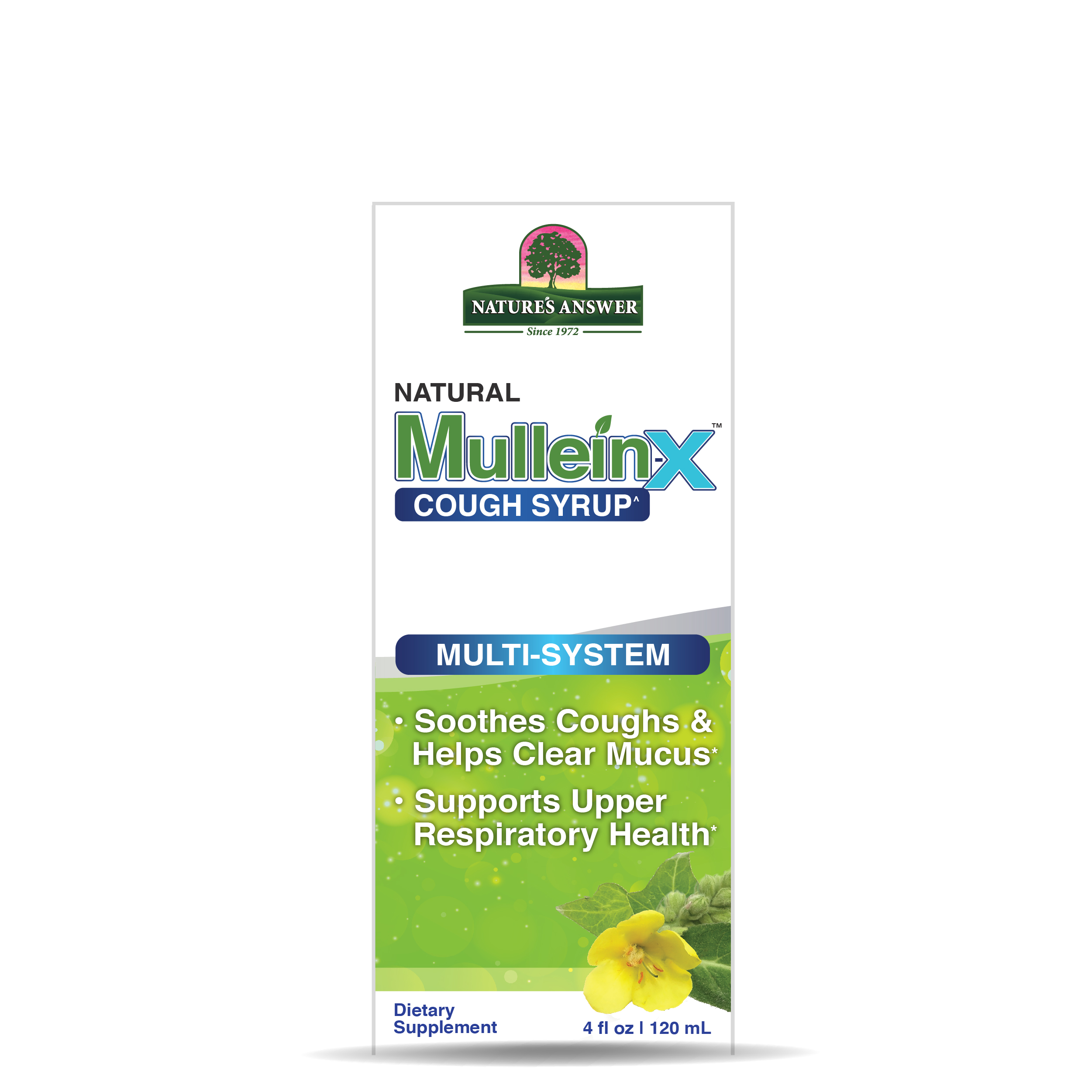 Mullein-X Cough Syrup - Multi System | Buy Mullein Cough Syrup - Nature ...