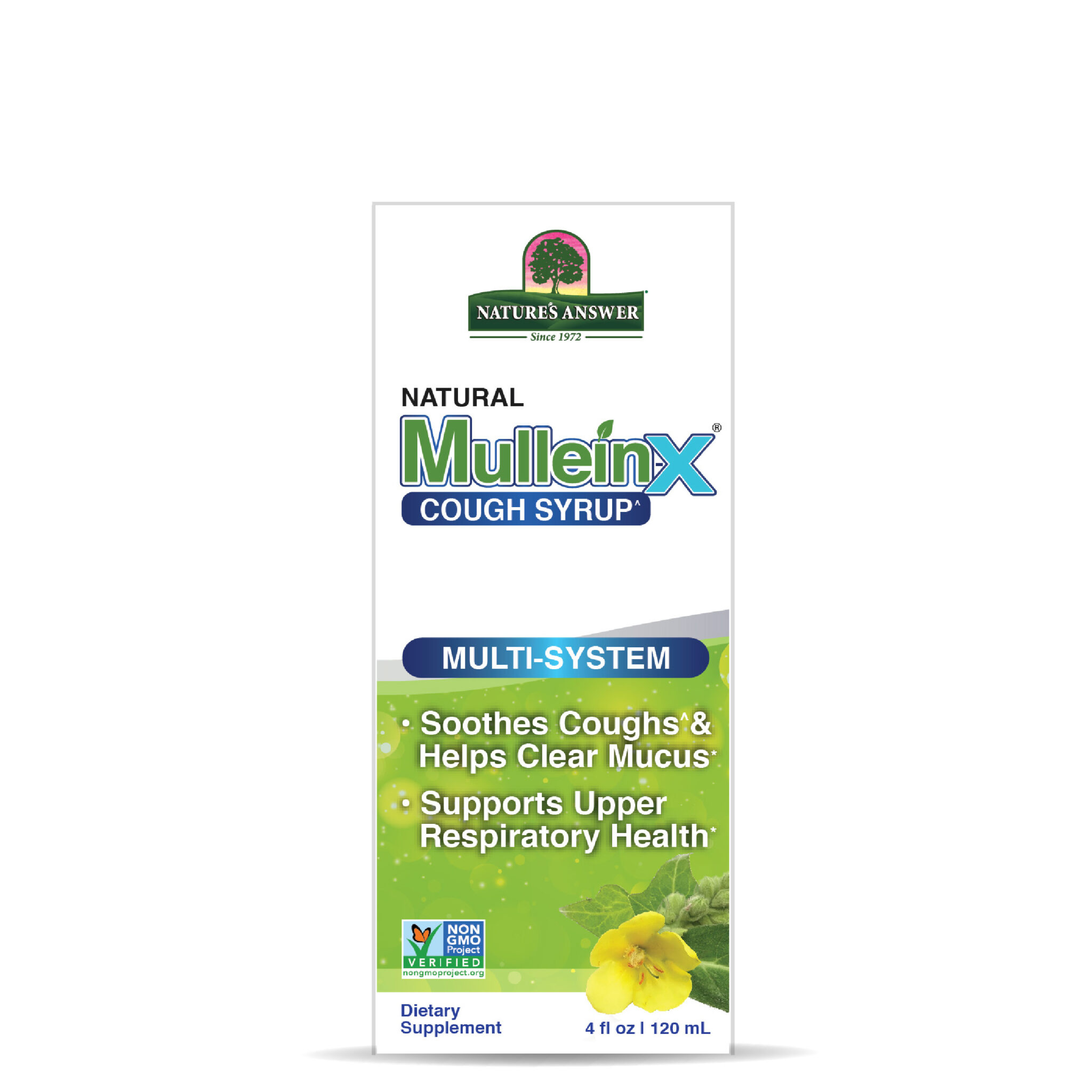 Mullein-X Cough Syrup - Multi System | Buy Mullein Cough Syrup - Nature ...