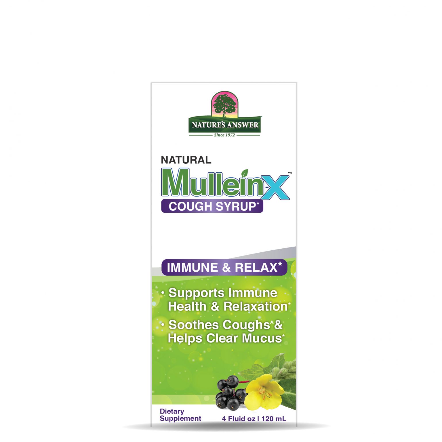 Mullein-X™ Cough Syrup - Immune & Relax 4oz | Order Mullein Cough Syrup ...