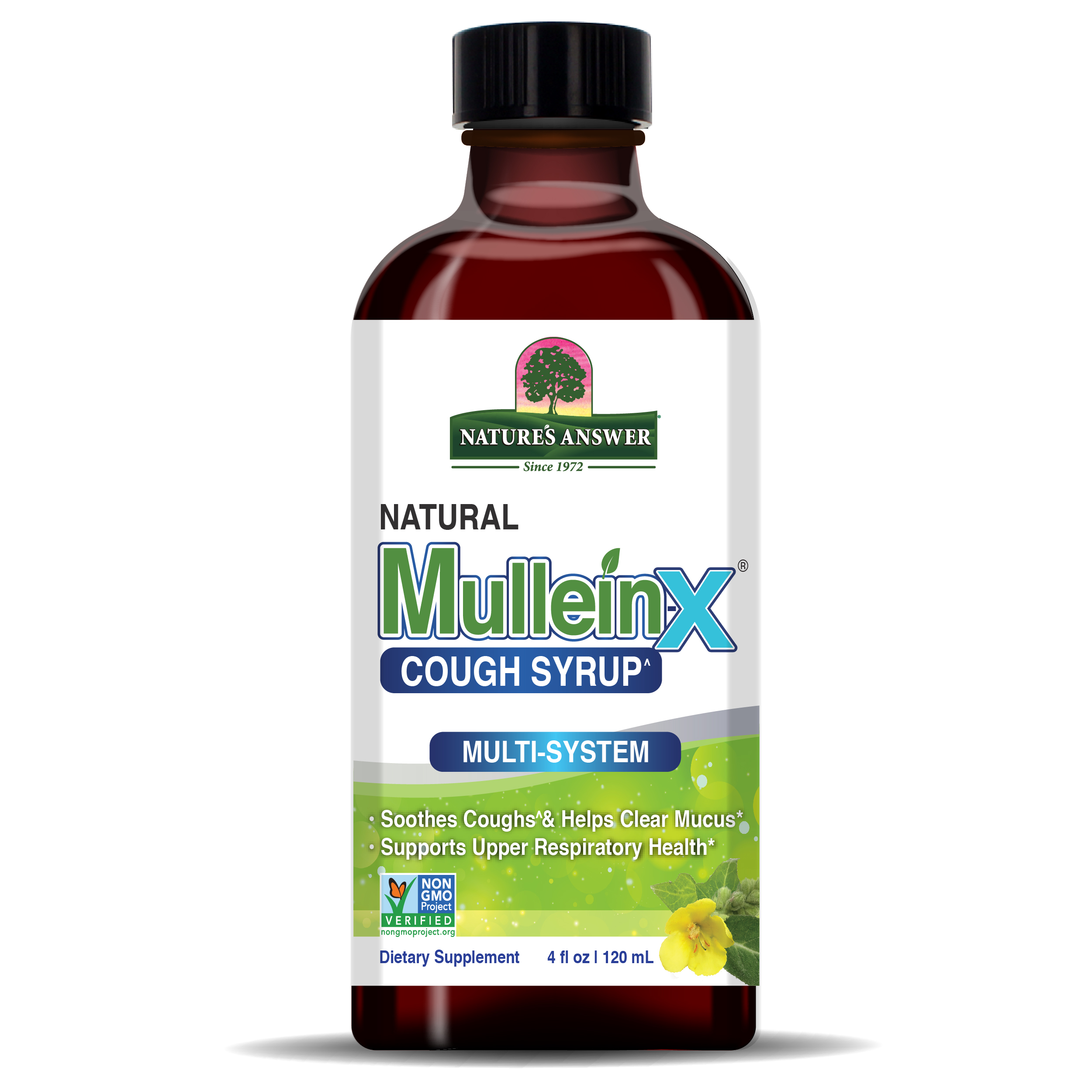 Mullein-X Cough Syrup - Multi System | Buy Mullein Cough Syrup - Nature ...