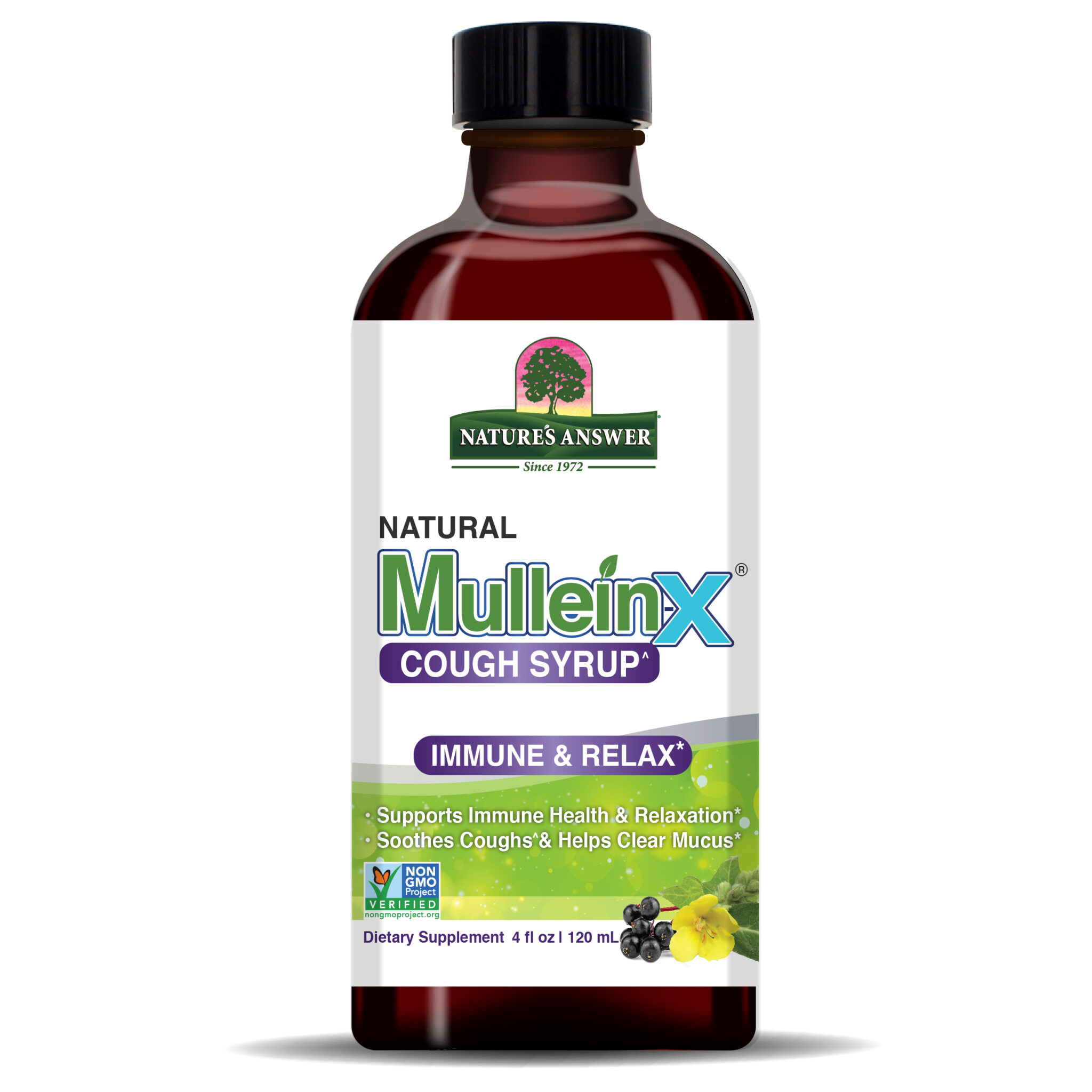 Mullein-X™ Cough Syrup - Immune & Relax 4oz | Order Mullein Cough Syrup ...
