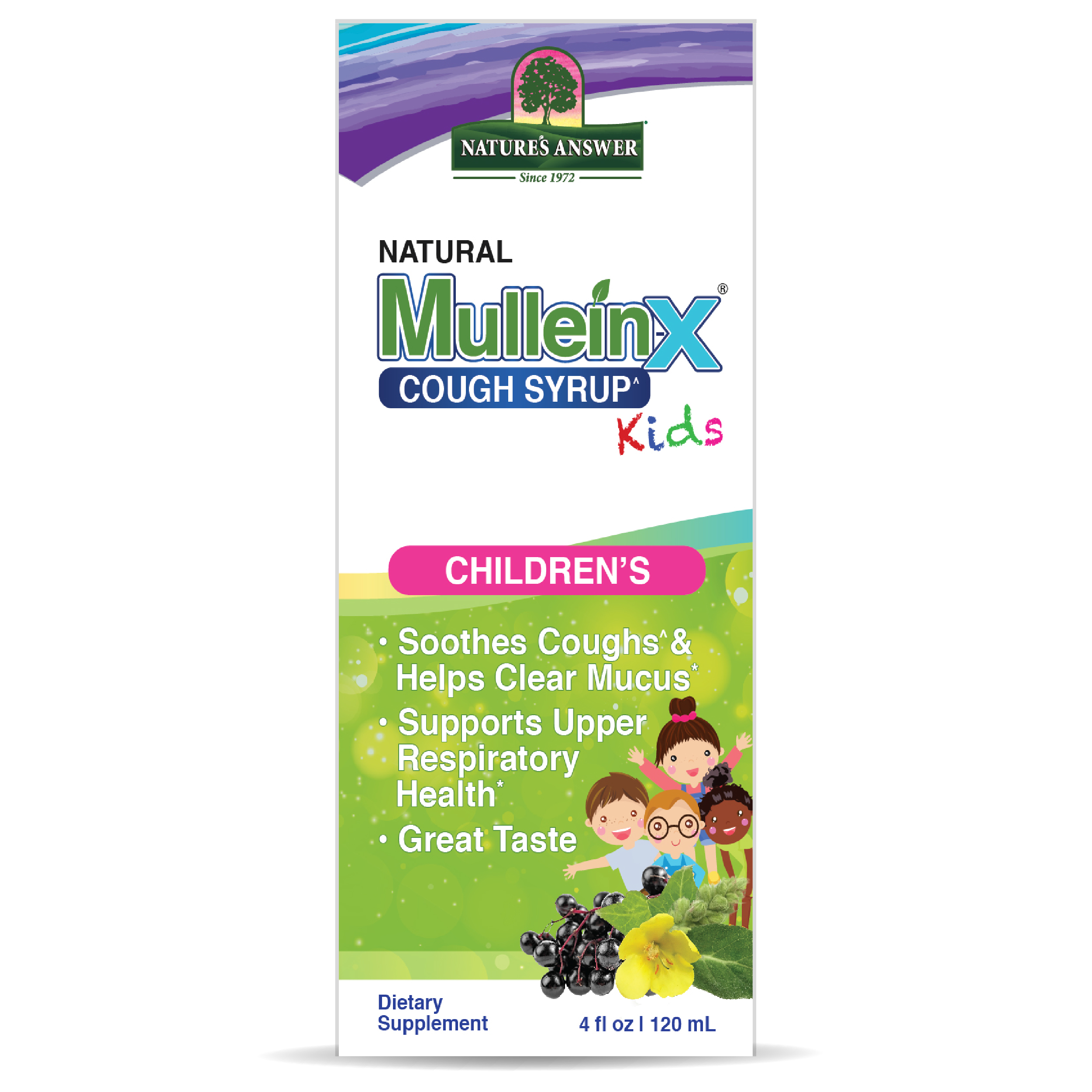 Mullein Cough Syrup for Kids 4 oz | Shop Mullein Syrup for Kids ...