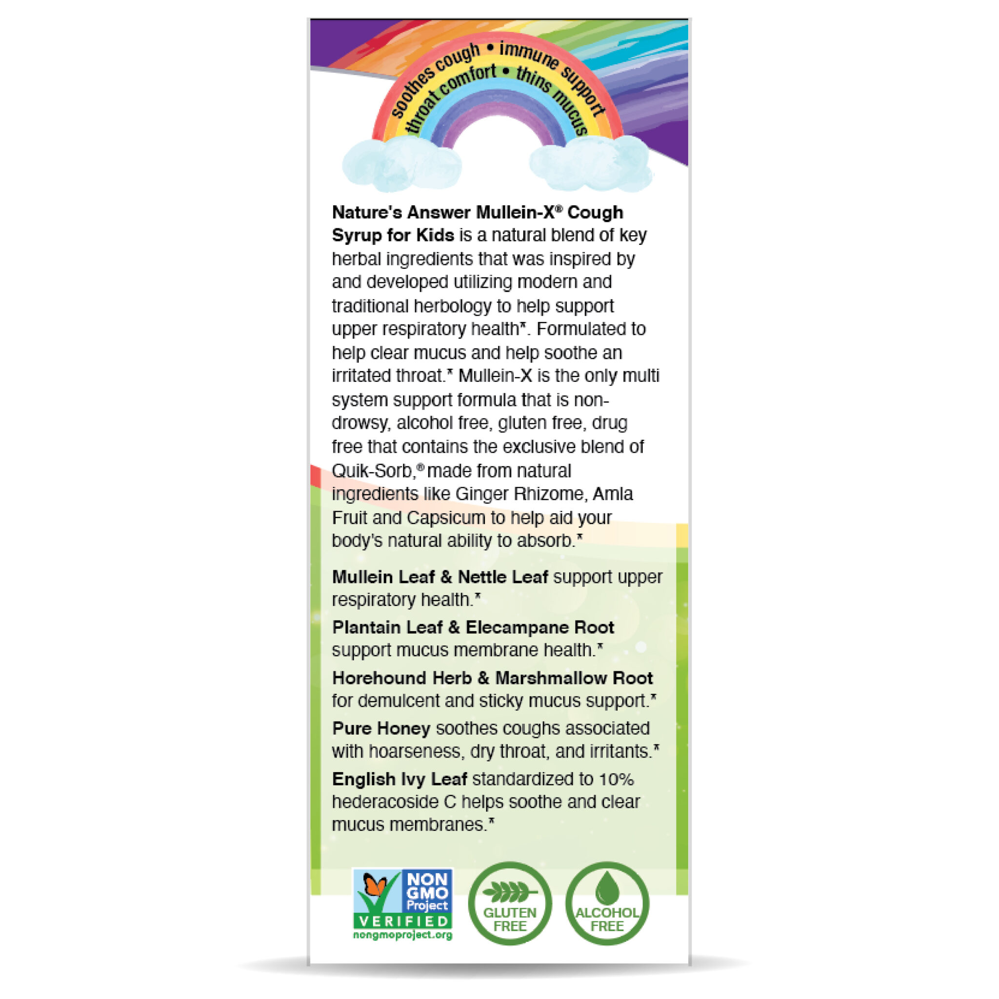 Mullein Cough Syrup for Kids 4 oz | Shop Mullein Syrup for Kids ...