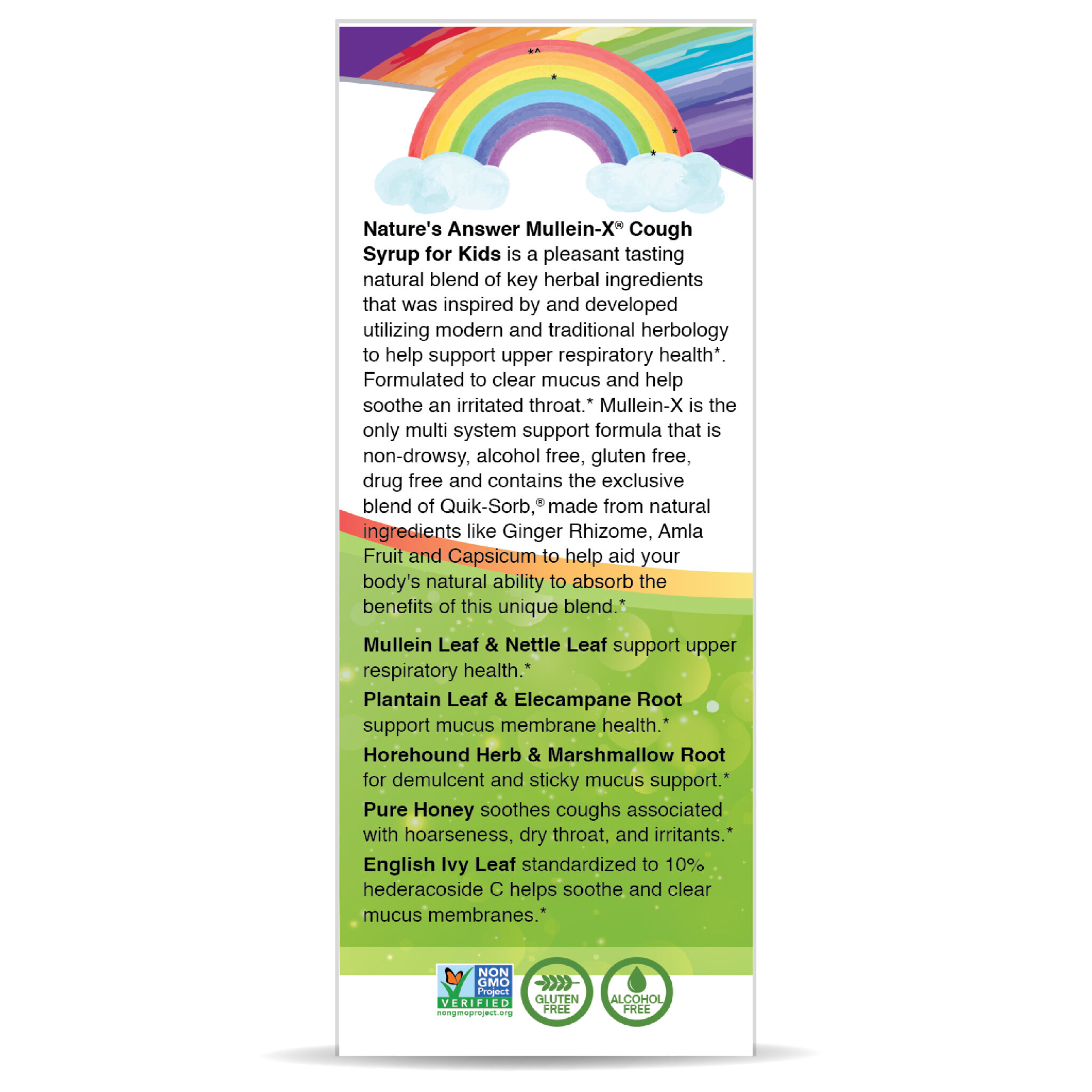 Mullein Cough Syrup for Kids 4 oz | Shop Mullein Syrup for Kids ...