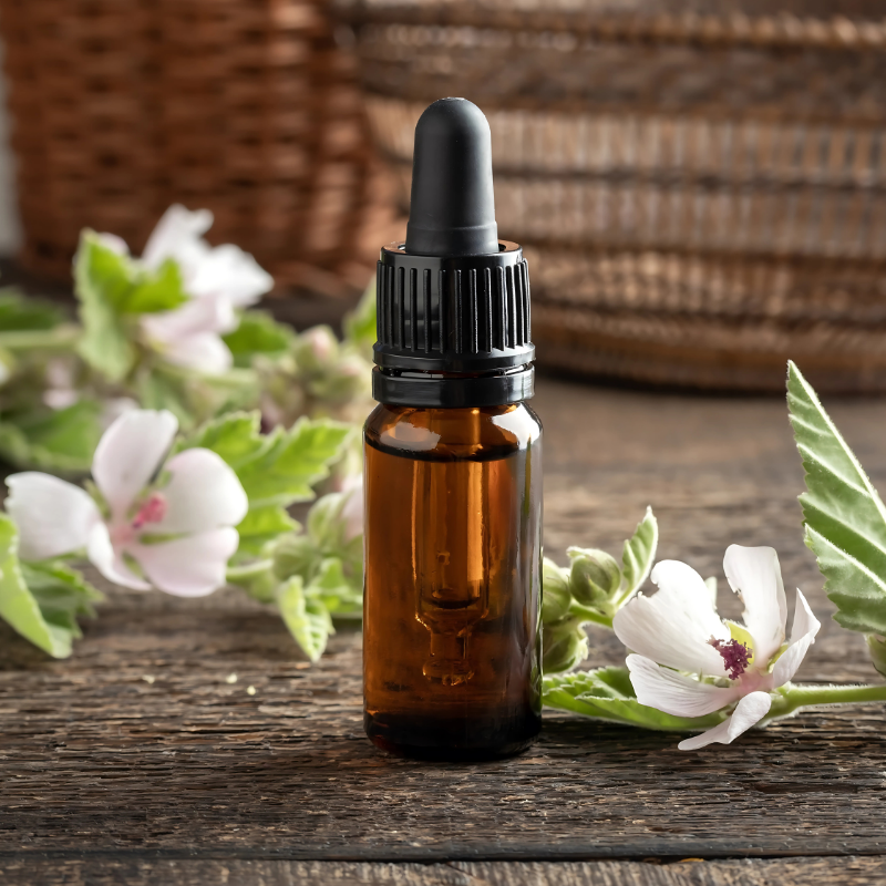 Herbal Extracts vs. Tinctures vs. Glycerites Explained