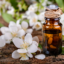 Herbal Extracts vs. Tinctures vs. Glycerites Explained