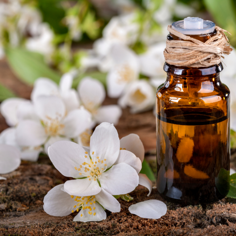 Herbal Extracts vs. Tinctures vs. Glycerites Explained